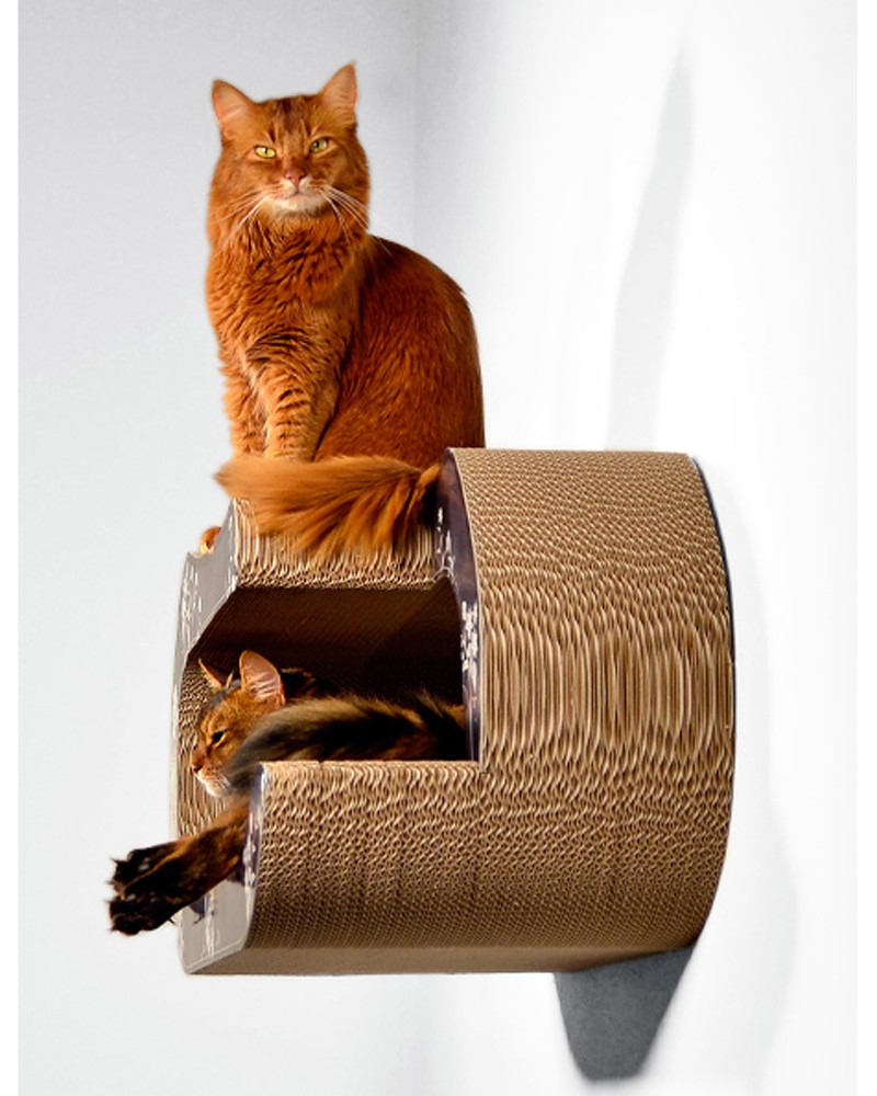 Griffoir mural pour chats - Best seller - A fixer au mur