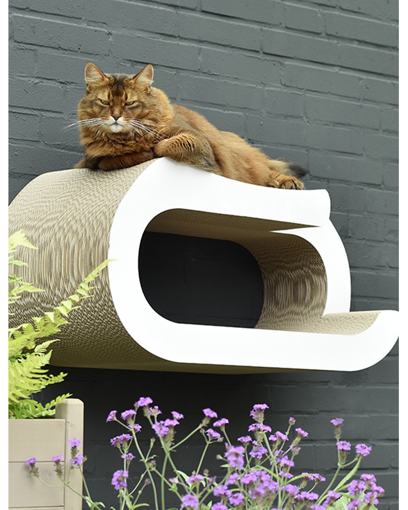 Griffoir mural pour chats - Best seller - A fixer au mur