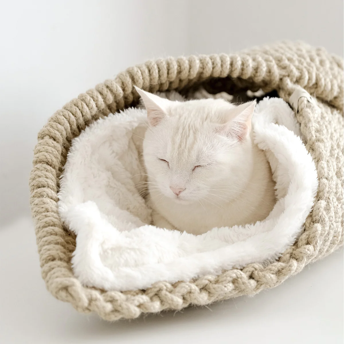 Coussin de luxe pour chat - CANNOLO