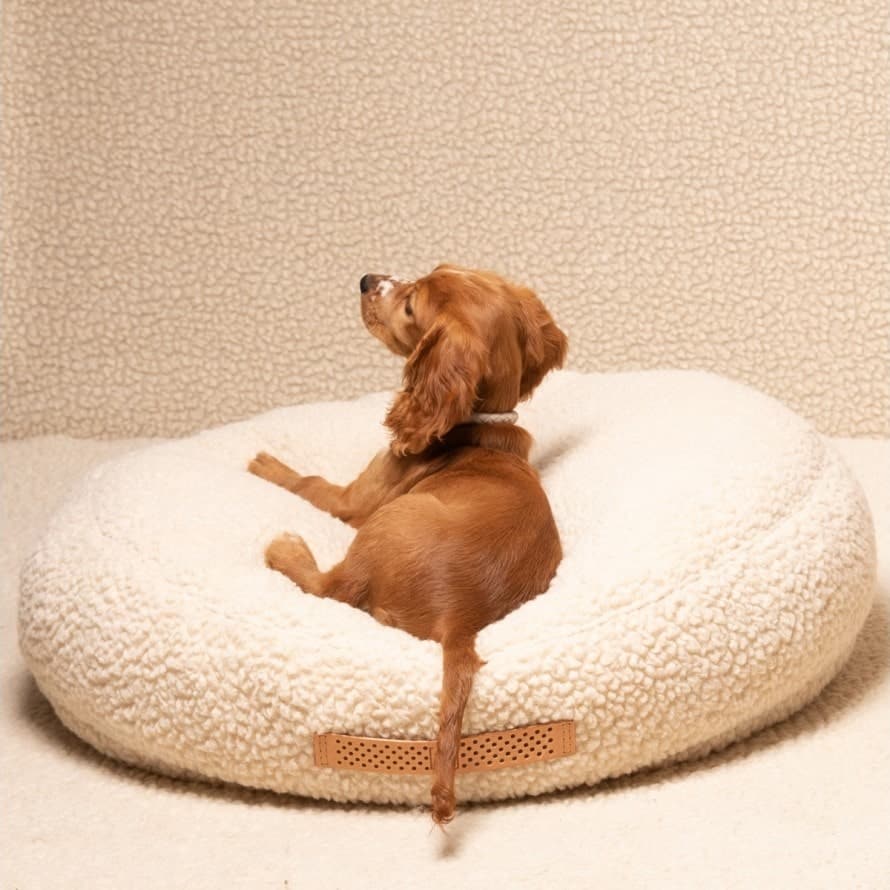 Pouf en laine bouclée pour chien - FULVIO
